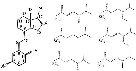 Structure And Iupac Numbering Of The Carbon Atoms Of The Vitamin D Download Scientific Diagram