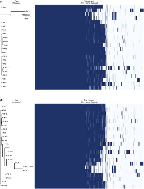 Pseudo Outbreak Of Mycobacterium Lentiflavum At A General Hospital In Japan Infection Control