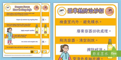 Dengue Fever Display Poster｜登革熱海報｜中英雙語