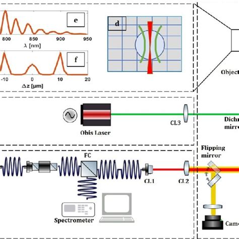 Setup Of The Sd Oct System A The Light Source And Detection Part Download Scientific Diagram
