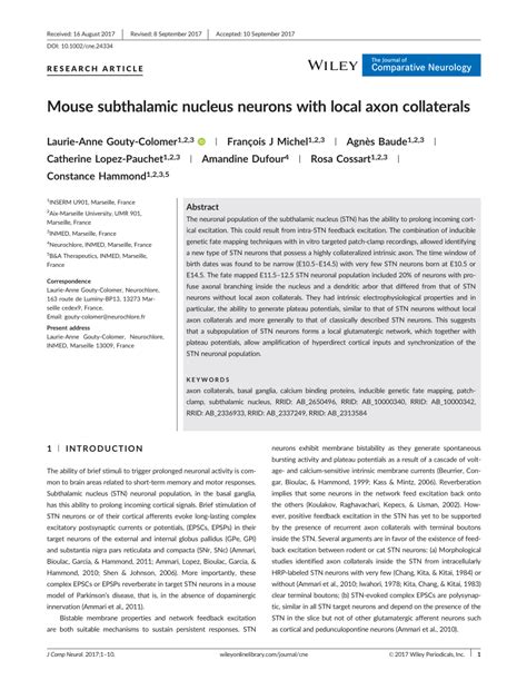 pdf mouse subthalamic nucleus neurons with local axon collaterals