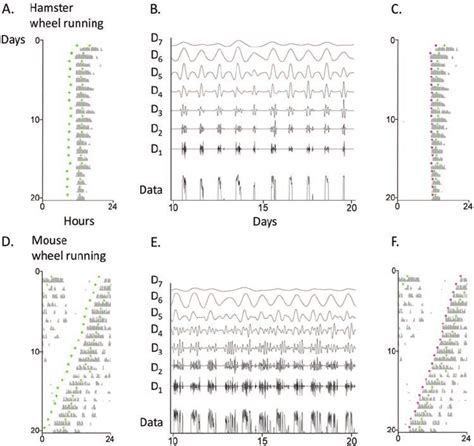 Examples Of Wheel Running Actograms And Dwt Multiresolution Analyses