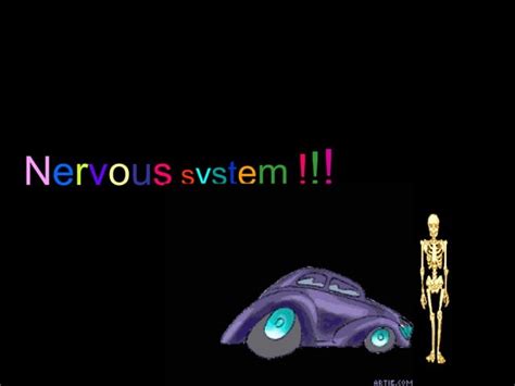 Nervous System Ppt 1 Ppt