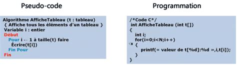 Comprendre La Complexité Des Algorithmes