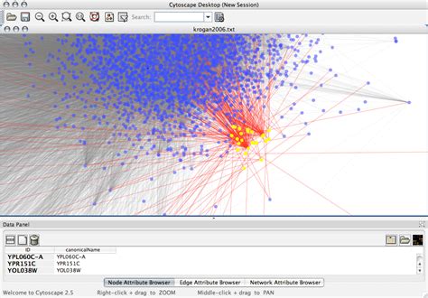 Cytoscape R Rgraphviz Cytoscape J