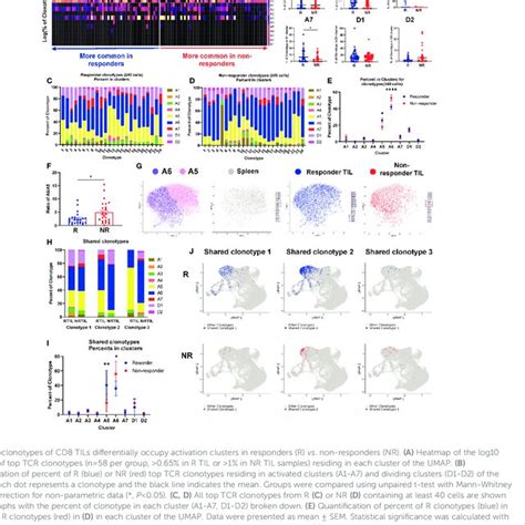 Twenty Year Overall Survival Studying Nuclear Polymorphism Level By Hpv