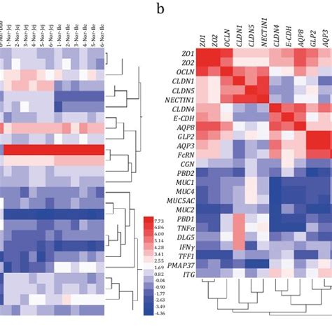 Hierarchical Clustering And Correlation Analysis Of The Relative Download Scientific Diagram