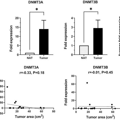 The Expression Levels Of Dnmts In Gbm Tissues And Nat And Correlation