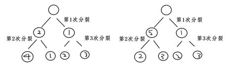 机器学习 树模型xgboostlightgbm特征重要性原理总结lightgbm特征重要度 Csdn博客