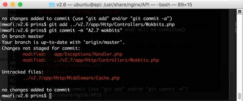 Git File Keep Appear In Modified Section And Cant Commit It Stack