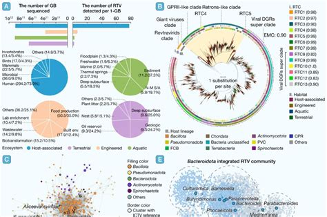 analyzing diversity of reverse transcriptase containing viruses through