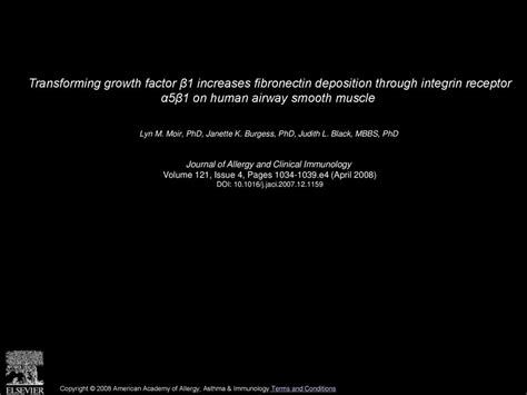 Transforming Growth Factor β1 Increases Fibronectin Deposition Through Integrin Receptor α5β1 On