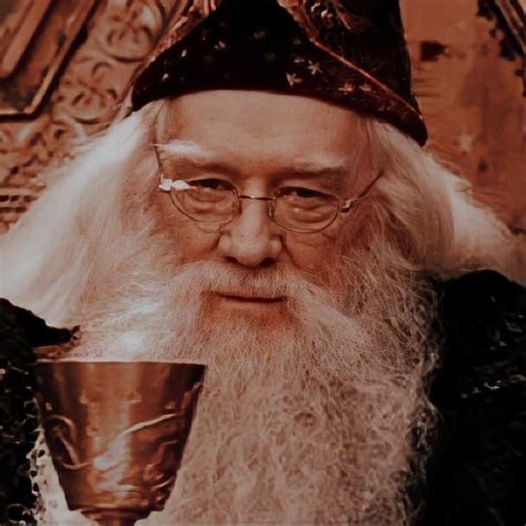 Harry Potter Babestx Richard Harris Harry Potter Albus