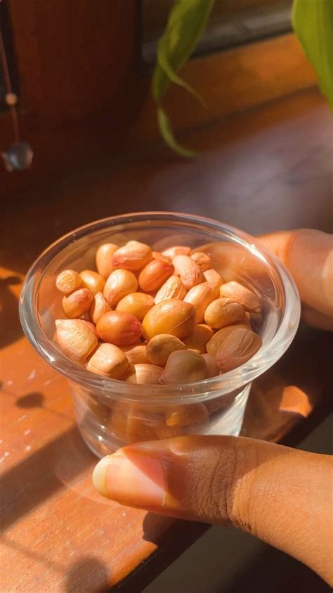 වටලප්පන් කමුද Any Watalappan Lovers🥰 සීනි හකුරු වලින් රසම රස වටලප්පන් හදමුද Credits Goes To