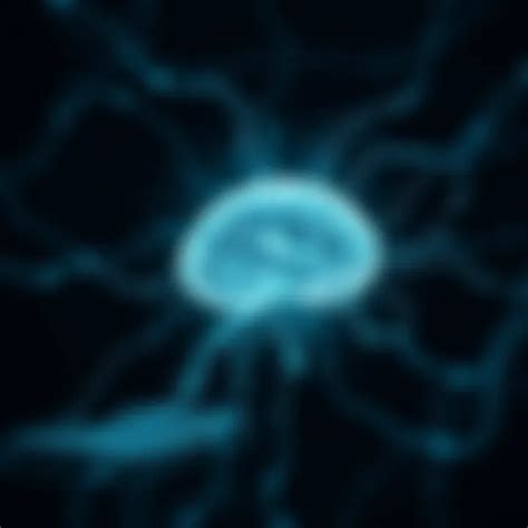 Exploring The Connection Between Reading And Memory Enhancement