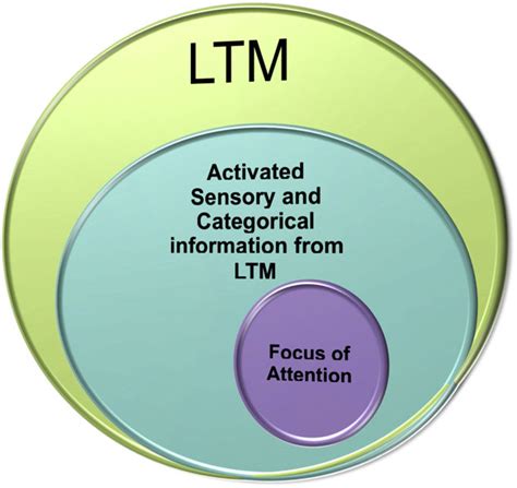 Schematic Diagram Of Cowans Model Of Working Memory Download
