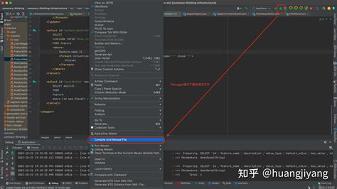 Hotswap之mybatis热部署 知乎