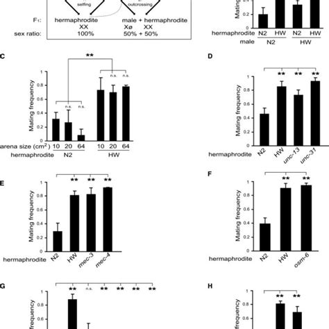 QTL Mapping Of Hermaphrodite Mating Frequency Variation Between N2 And Download Scientific