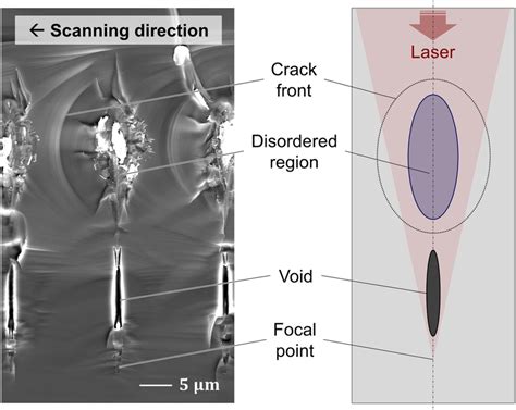 A Cross Sectional Scanning Electron Micrograph Of Subsurface