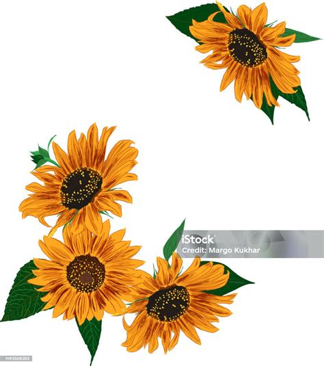 해바라기와 나뭇잎의 프레임입니다 꽃과 밝고 다채로운 예술적 테두리 손으로 그림을 그리는 꽃 그림 다양한 소셜 미디어 디자인을 위한 요소 흰색으로 분리된 벡터 그림입니다