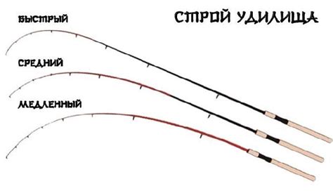 Как выбрать спиннинг для начинающих по длине, тесту и строю