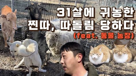 귀농했는데 시골 텃세 장난 아니네요 Youtube