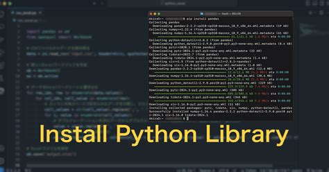 Python Web