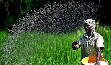 Fertilizer Industry Strongly Opposes Dap Import Through Tcp Economypk
