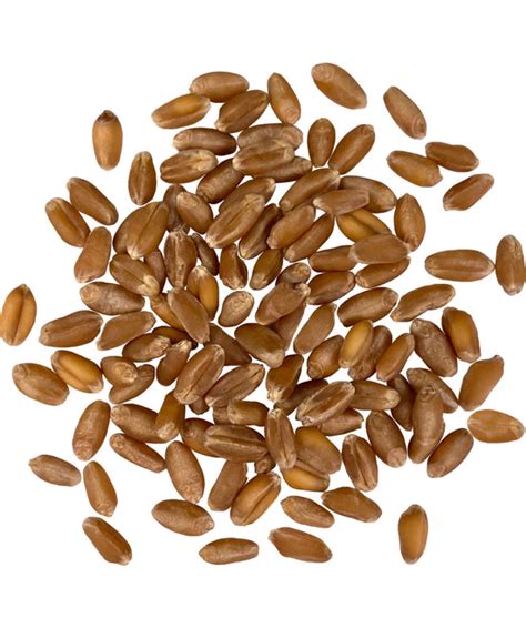 Certified Glyphosate Residue Free Hard Red Winter Wheat Berries 25