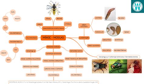 Ectoparasitas E Suas Patologias Retoedu