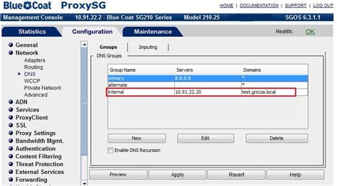 Dns Health Checks Configuration