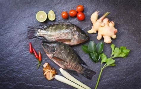 Swai Vs Tilapia Whats The Difference 2026