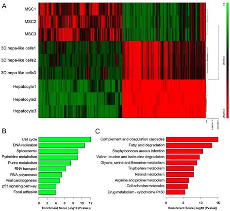 Go Analysis Of Gene Expression Arrays A Gene Expression Profile