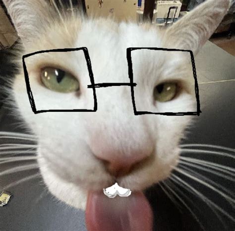 Nerd Cat With Glasses Sticking Out Tongue