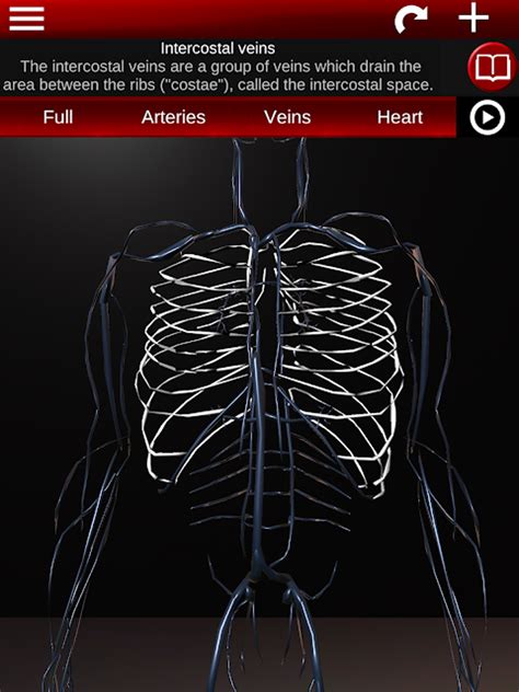 Circulatory System 3d Anatomy Apk Cho Android Tải Về