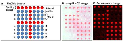 A Influenza Low Density Microarray Layout Sequences 1 7 And 10 13