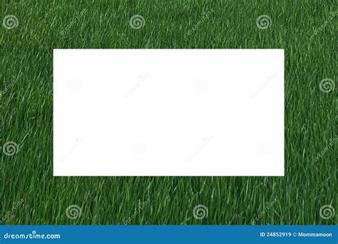 Wide Green Border In Grass Texture Stock Image Image Of Plant Empty 24852919