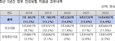 건보재정 국고지원 일몰제 폐지 유력