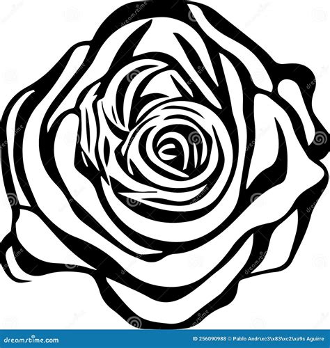 Beautiful Flower On White Background Stock Vector Illustration Of Collection Design 256090988