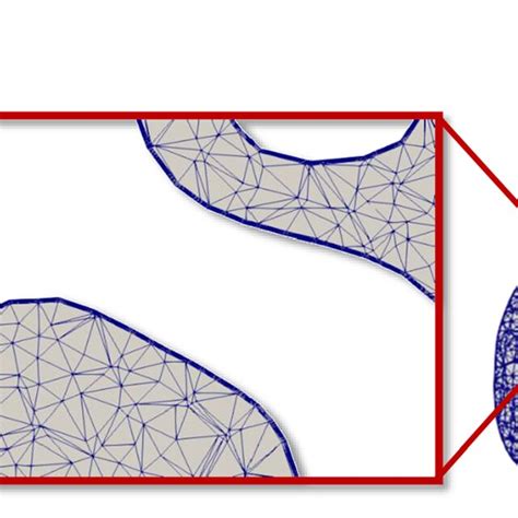The Volumetric Mesh Along With Prism Layers For Numerical Simulations