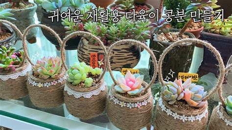 재활용 다육화분 만들기 귀여운 다육바구니 만들었어요 콩분으로 딱이에요 Succulent Plant Succulent Care Recycle Diy Pot