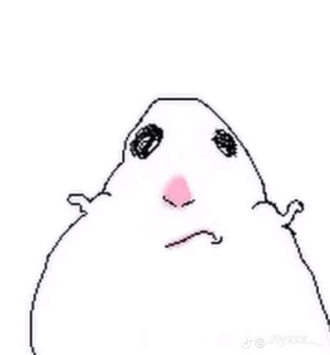 Hamster Hamster Doodle Meme Hamster Hamster Doodle Hamster Meme