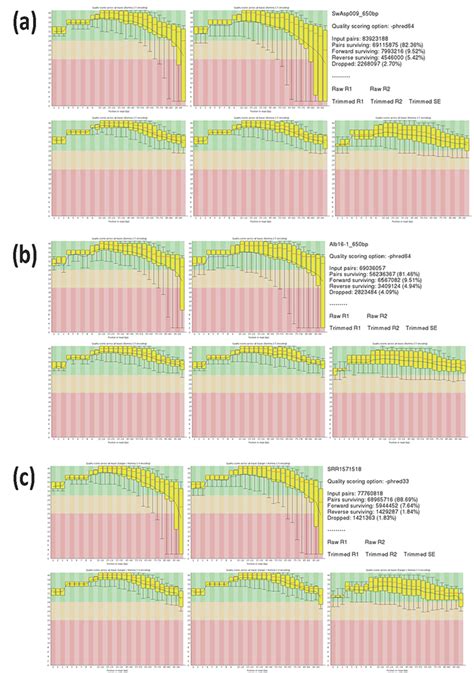 Figure S3 Comparison Of Per Base Sequence Quality Between Raw And Download Scientific Diagram