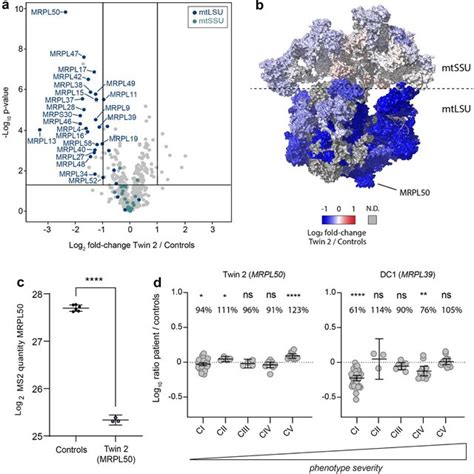 Quantitative Proteomic Analysis Demonstrates Disrupted Proteins Of