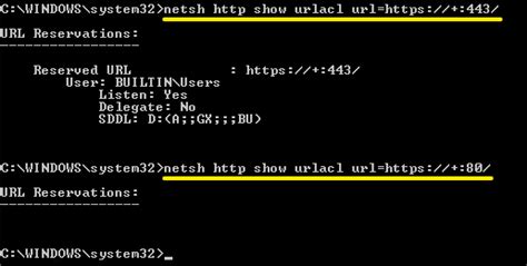 iis 503 service unavailable over works fine
