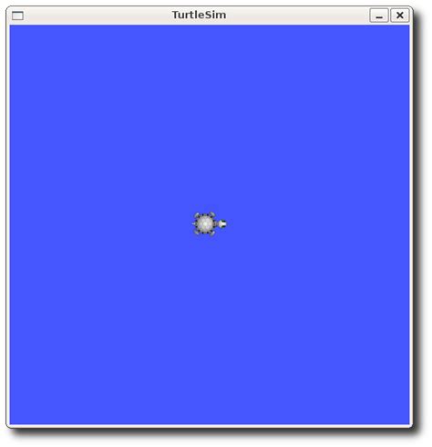 Turtlesim Ros Wiki