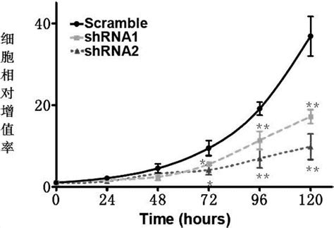 Long Chain Non Coding Rna Sequence For Early Diagnosis Of Human Lung