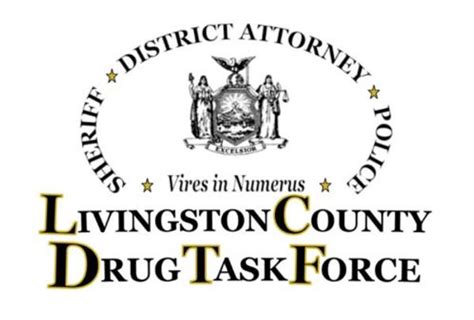 Drug Task Force Lcso