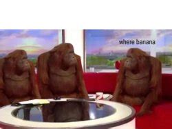 Monkey Meme Templates Imgflip