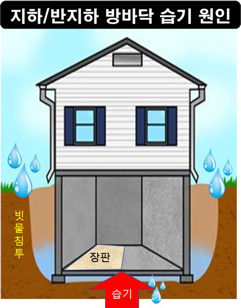 누수도 없는데 아파트 1층 방바닥 습기 방바닥 곰팡이 원인과 해결 방법에 관하여 네이버 블로그